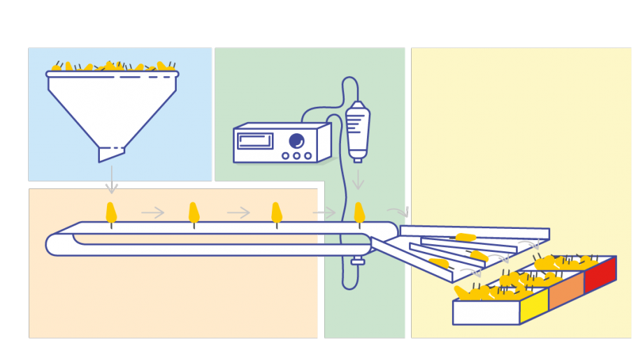 LED - le guide de l'éclairage